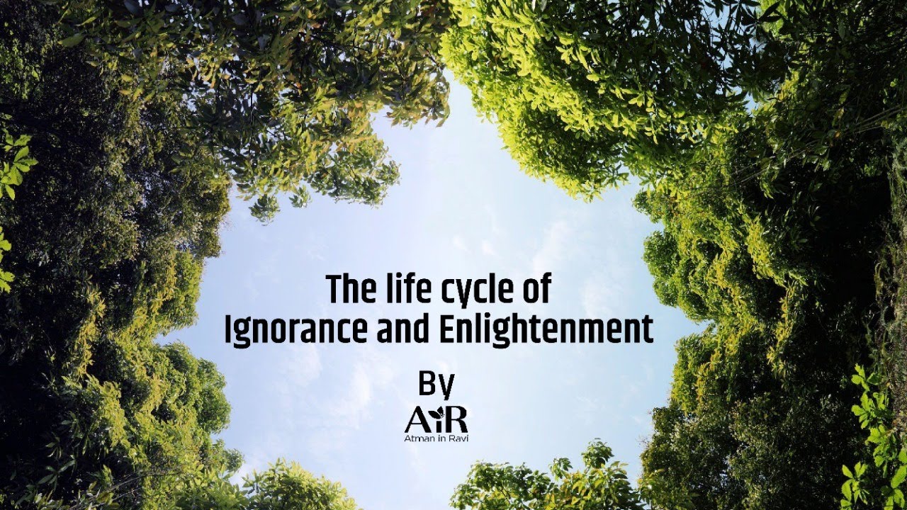 The Life Cycle of Ignorance and Enlightenment I Be Enlightened with the ...