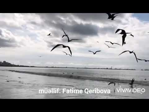 neyini sevmişem senin bilmirem