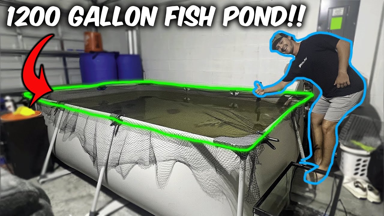 SETTING UP a 1200 GALLON PREDATOR FISH POND in my garage!!! - YouTube