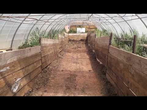 Pascal Poot et ses "graines de vies" - YouTube