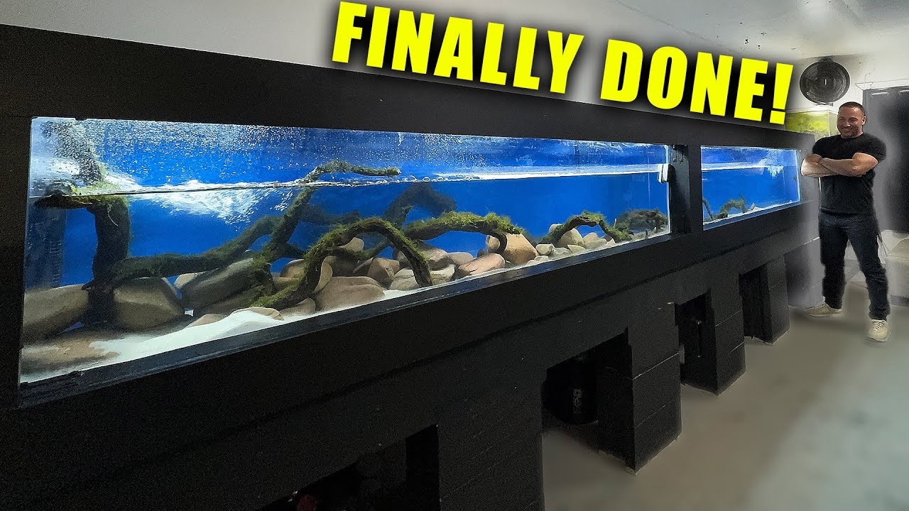 The 16 foot aquarium is done! Planted and scaped monster fish tank ...