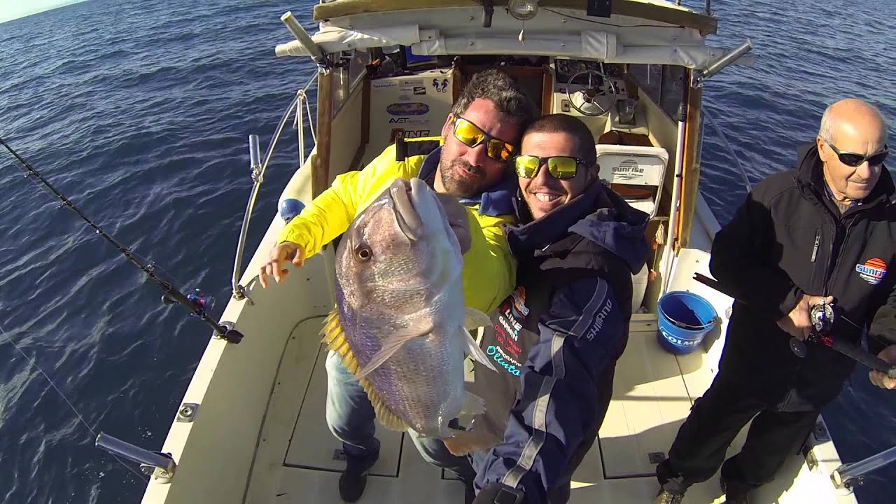 Traina col Vivo Zambo Toni Massi Renzo - YouTube