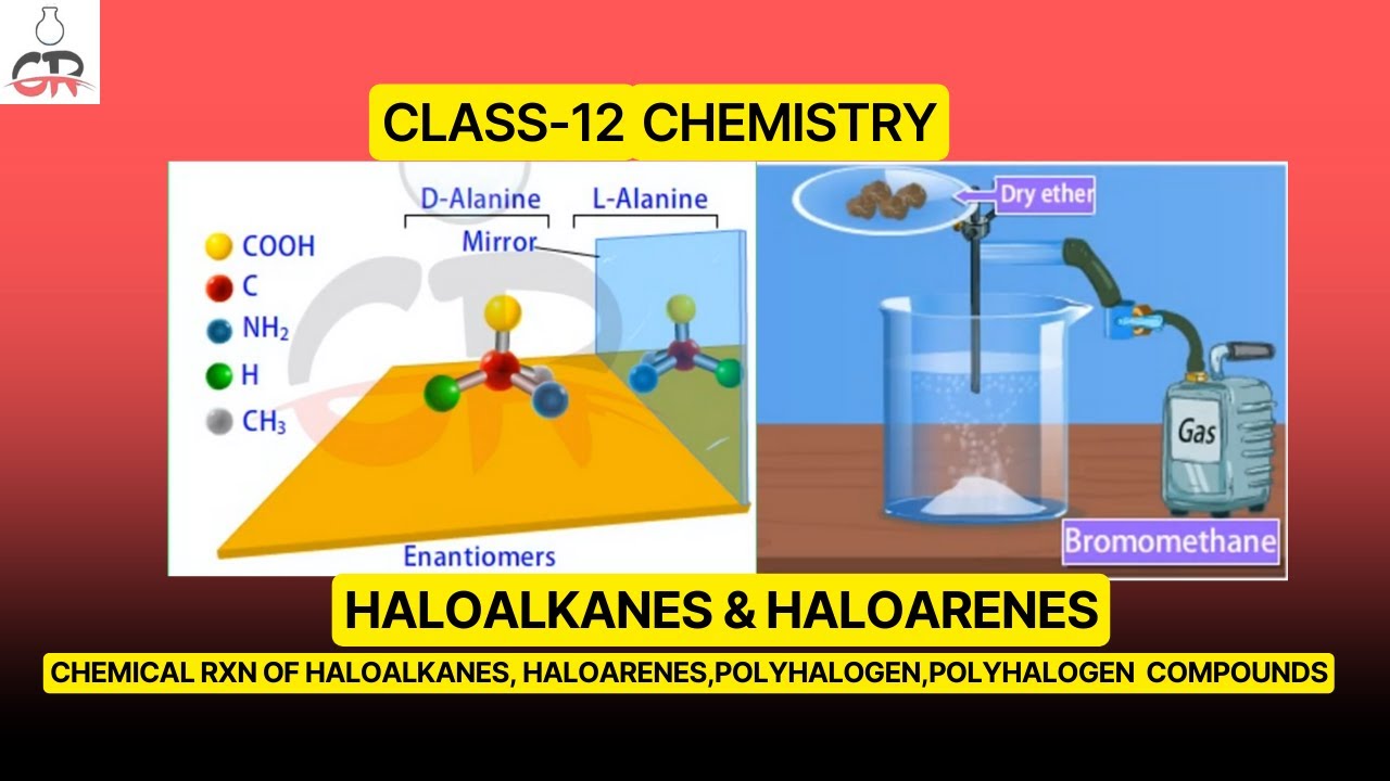 Haloalkanes & Haloarenes Class 12 Chemistry Chemical reaction of ...