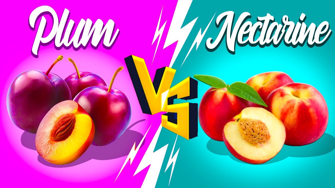 Plum vs Nectarine Challenge 🍑🍎 | Can Max Tell the Difference? - YouTube