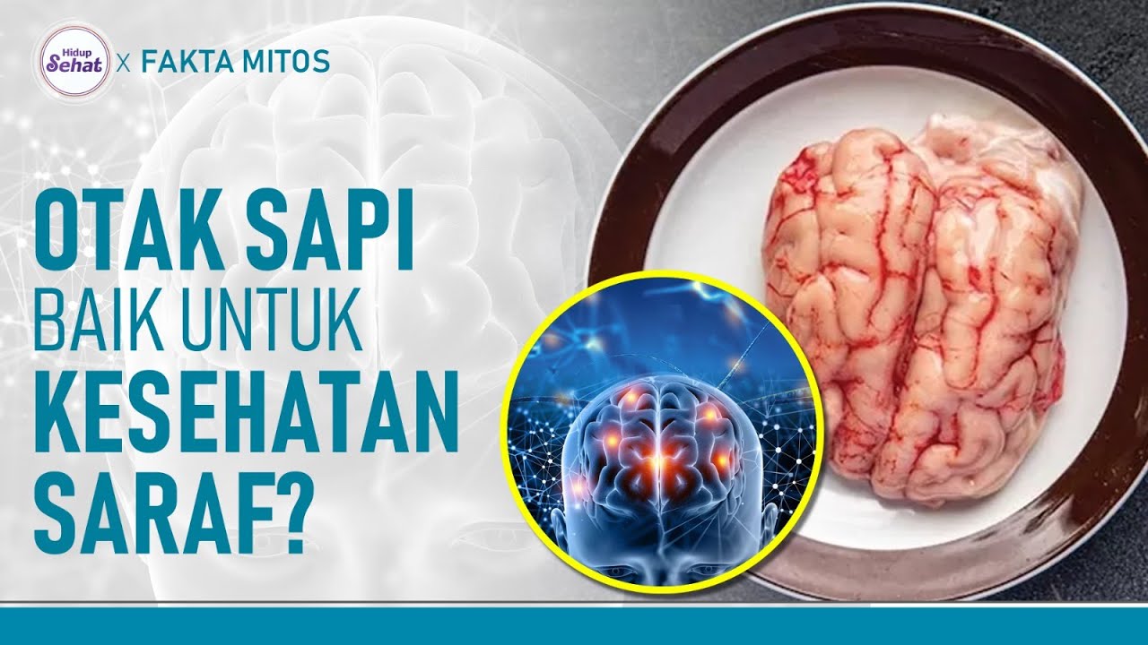 Benarkah Makan Otak Sapi Baik untuk Kesehatan Saraf? | Hidup Sehat ...