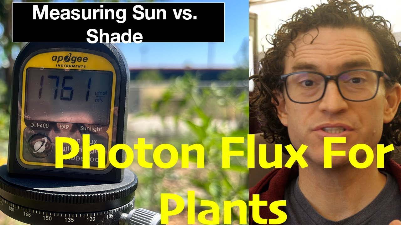 Full Sun vs Shade - Research Instrument Test - Apogee Daily Light ...