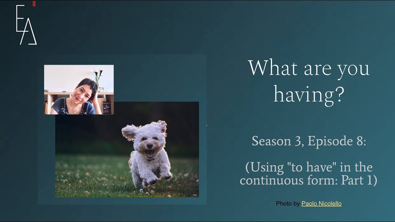 What are you having? ( Using "to have" in the continuous form:Part 1 ...