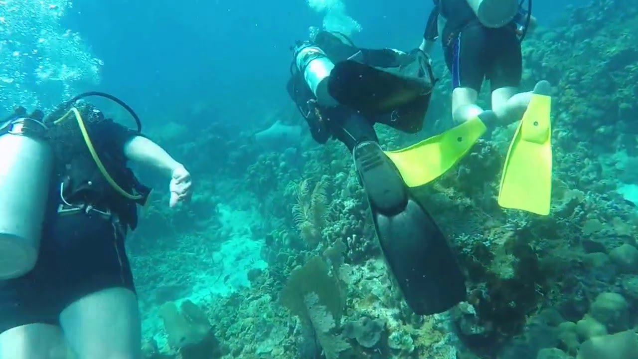 Wall Dive Part 2 near Catalina Island, Dominican Republic - Beginners ...