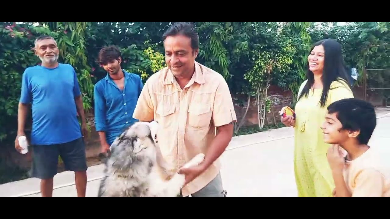A Husky meets the owner after a long time | Live the nature- With Meera ...