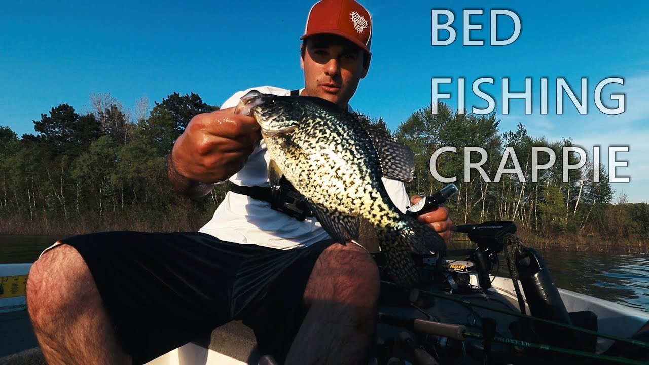 BED FISHING for Crappie in CLEAR Water! | How to find Crappie - YouTube