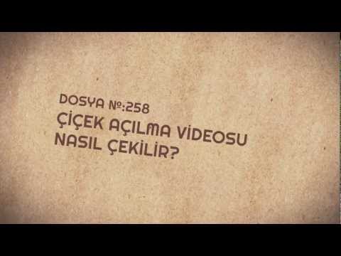 Çiçeğin Açılması Videosu Nasıl Çekilir? | Filimmeyenler