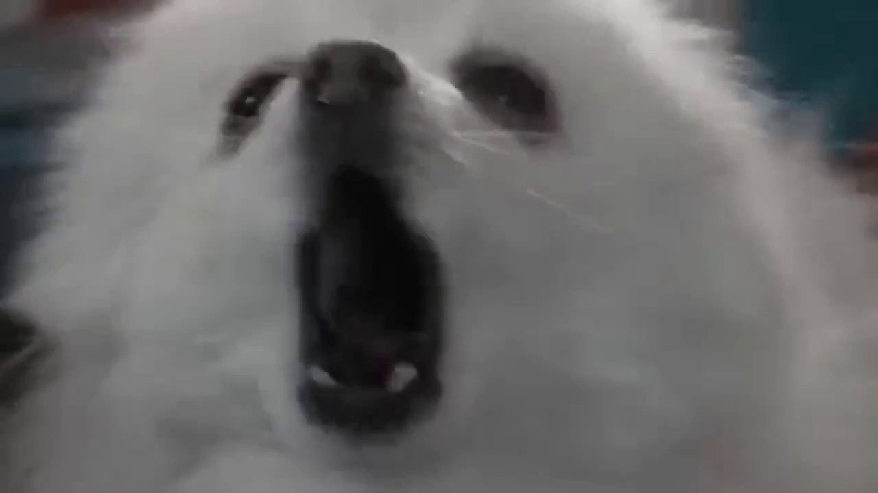 ChuckleVision Theme but it's borked by Gabe The Dog - YouTube