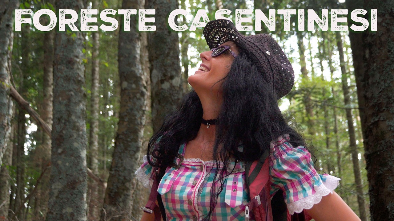 CAMALDOLI - una notte nella foresta degli eremiti - YouTube