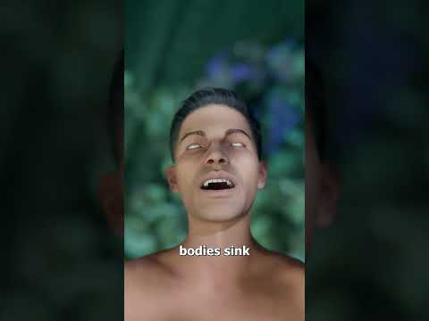 The Mystery Of The Salish Sea Feet 😨