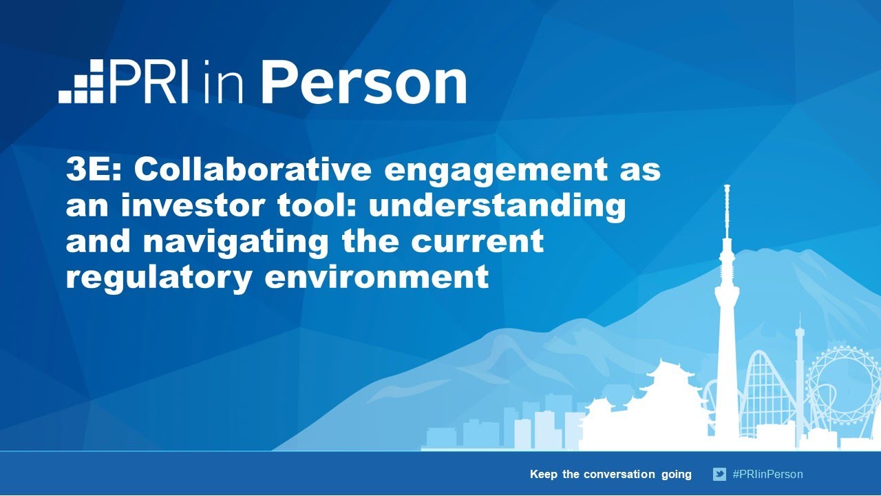 Collaborative engagement as an investor tool: navigating the current ...