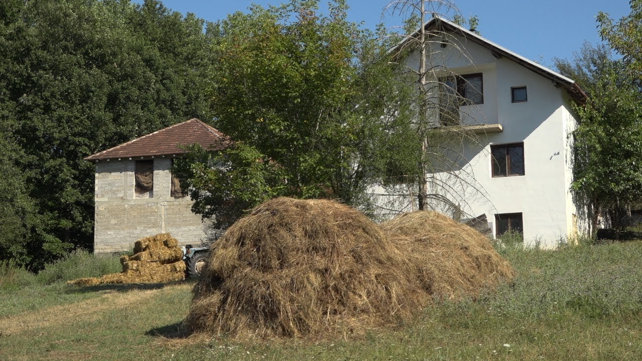 Jabukovac mesto zločina - YouTube