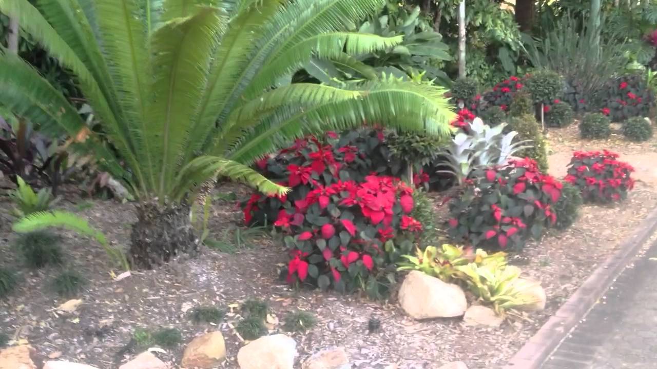 Queens park Perth Australia - YouTube