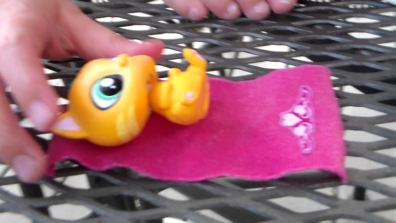 Littlest Pet Shop and Barbie at the Pool - YouTube