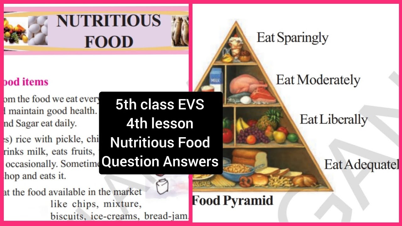 5th Class EVS 4th Lesson Nutritious Food Question Answers TS Board 5th-class-evs-4th-lesson-nutritious-food-question-answers-ts-board