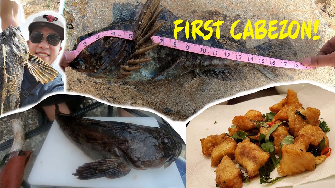 My First Cabezon, I almost tossed a keeper! Taiwanese Popcorn FISH ...
