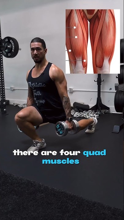 How to Build Bigger Quads with ATG Muscle #athletictruthgroup #atgequipment #atg #quadworkout ...