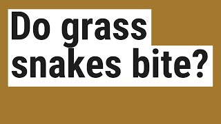 Do grass snakes bite?