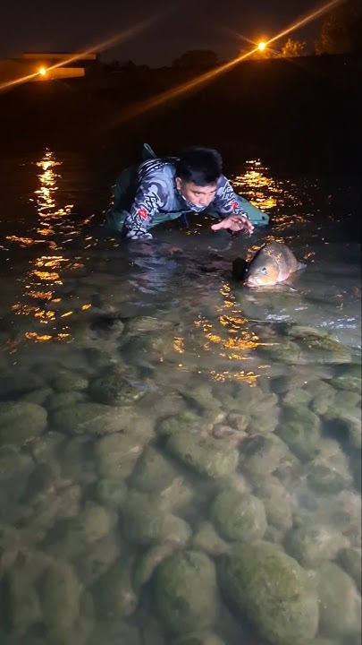 Kakaibang isda na lumilipad - YouTube