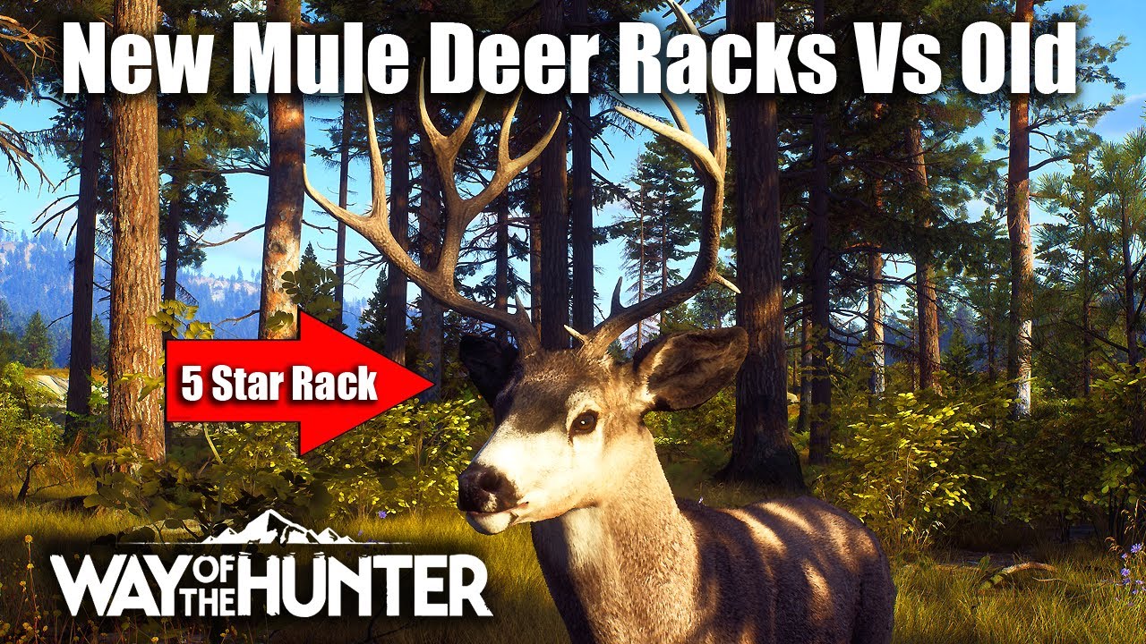 Way Of The Hunter - New Mule Deer Racks VS Old - 5 Star Racks - YouTube
