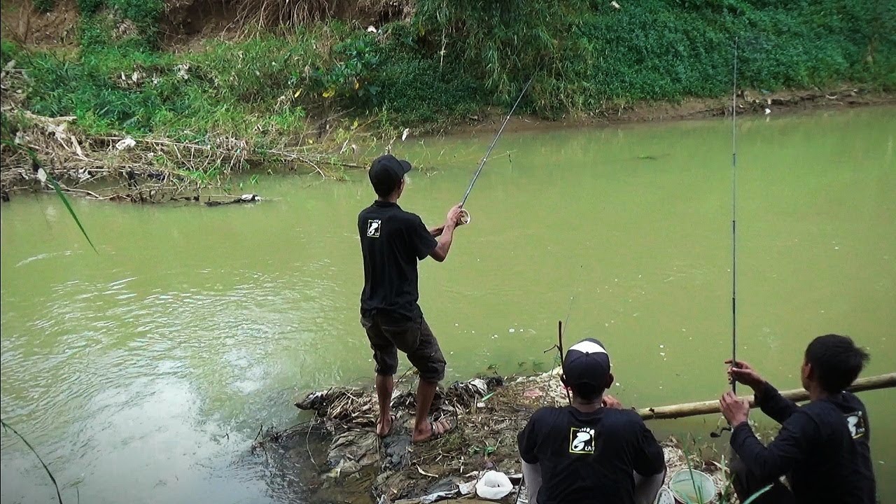 Keseruan Mancing Bareng Teman Setia LM Dari Brebes - YouTube