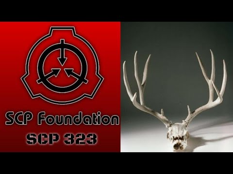 A Cat Reads || SCP Articles || SCP-323 - Wendigo Skull - YouTube