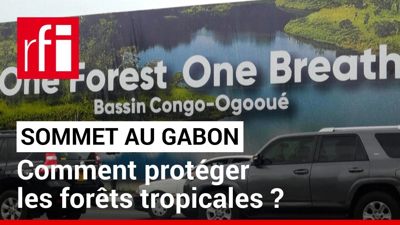 « One Forest Summit » au Gabon : protéger la forêt tropicale • RFI ...