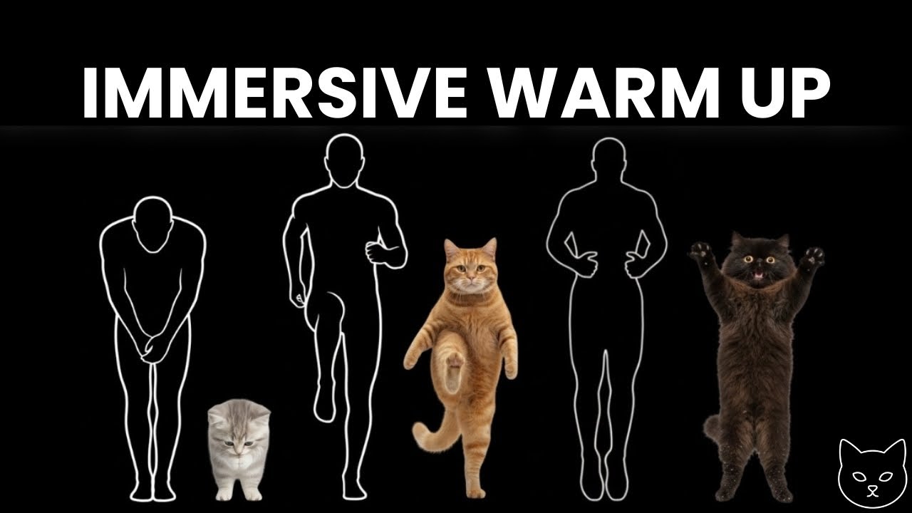 Immersive Interactive Warm Up – Can You Beat This Cat? 🐾 - YouTube