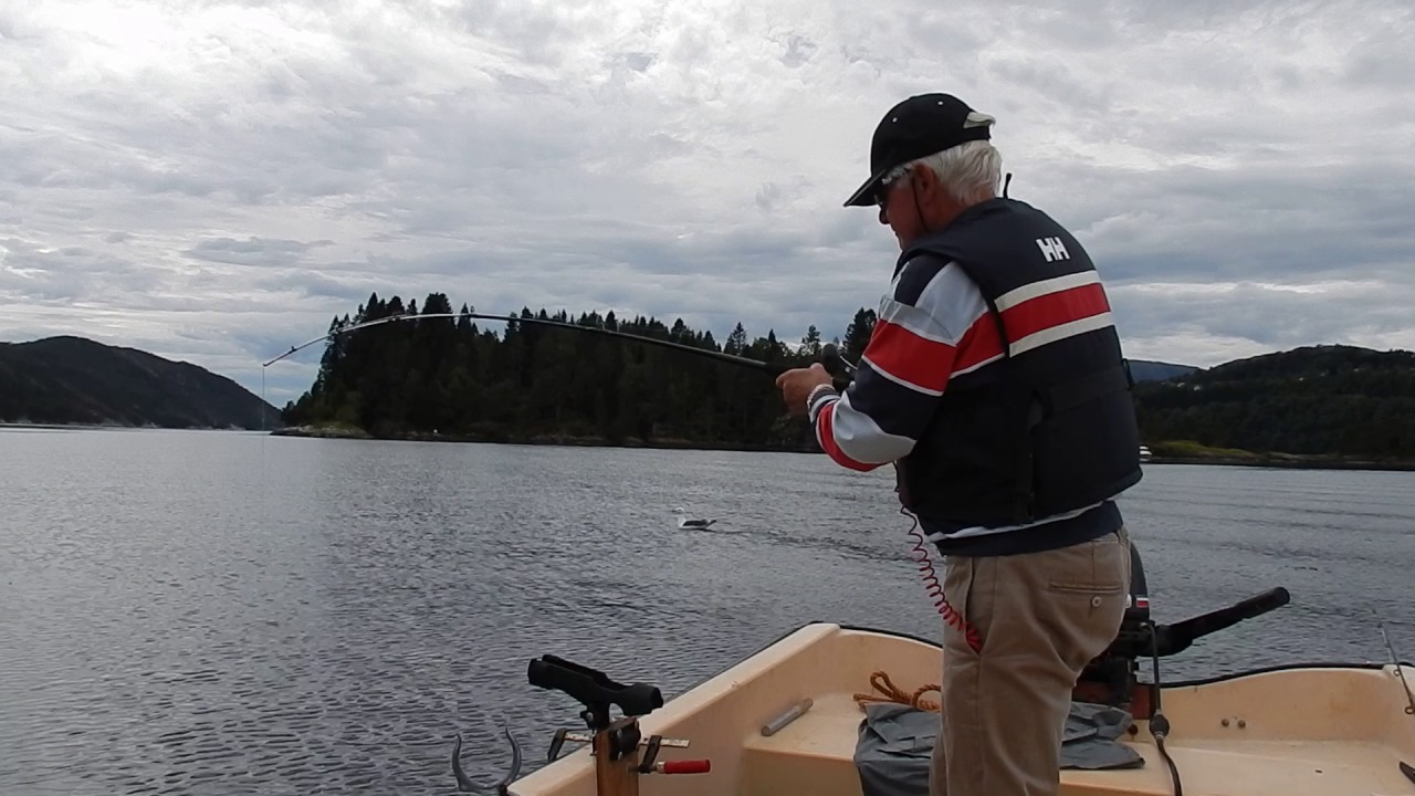 Leng vissen bij Holmefjord - YouTube