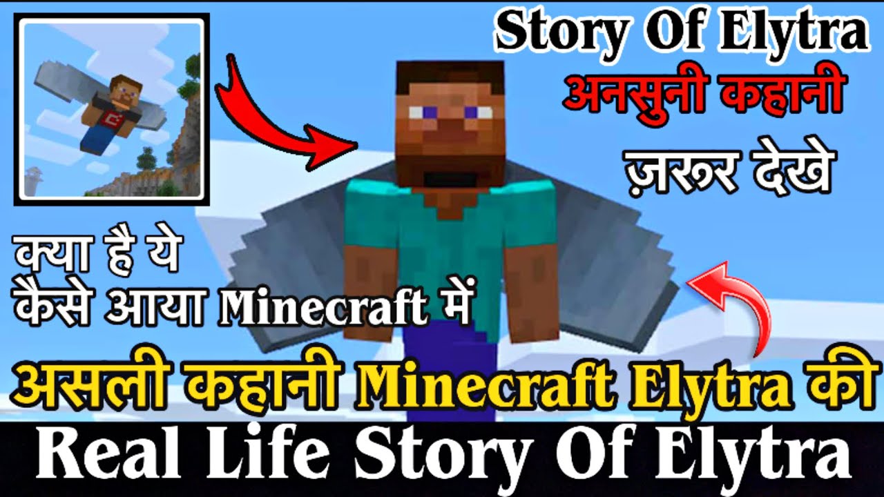 Story Of Elytra || Real Life Story Of Minecraft Elytra || Elytra In ...