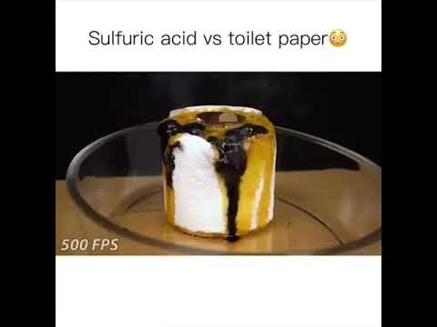 SULPHURIC ACID vs TOILET PAPER INSANE REACTION - YouTube