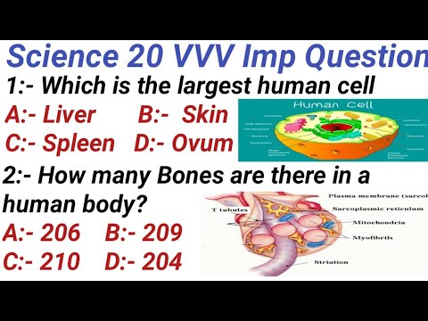 Science GK || Science GK in English ||Science Quiz| Science GK ...