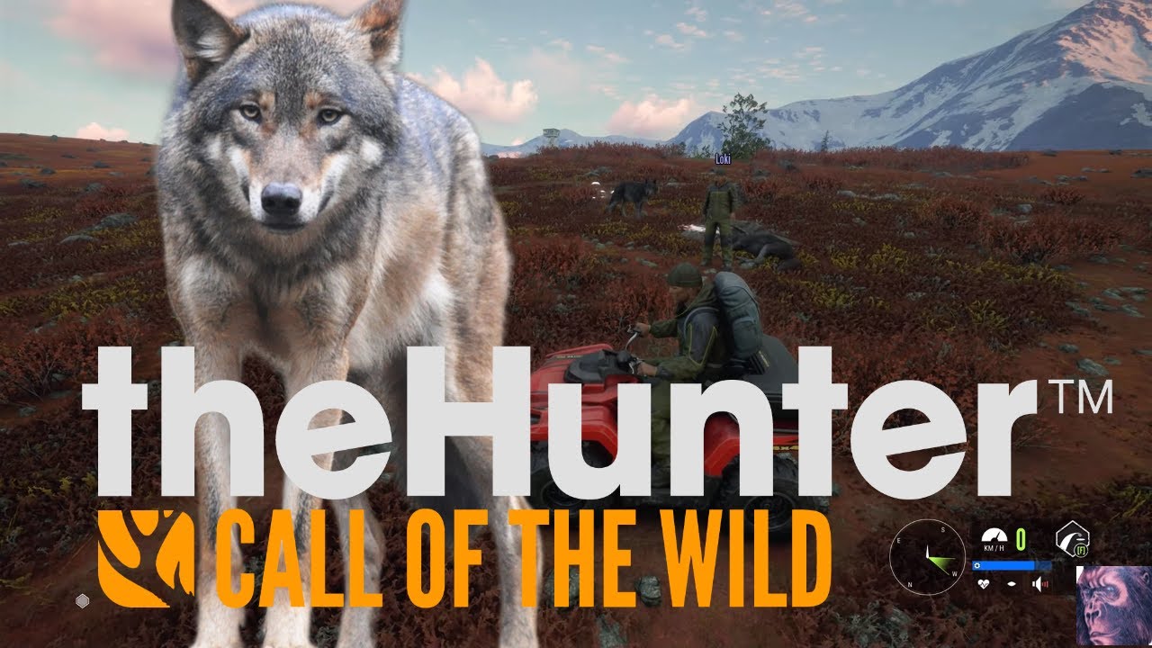 The Hunter Call Of The Wild | BUGGED OUT WOLVES, you gotta WATCH THIS ...