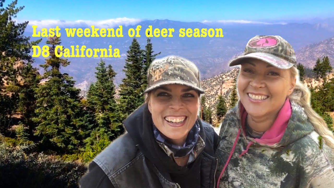 Last weekend of deer hunting D8 2020 - YouTube