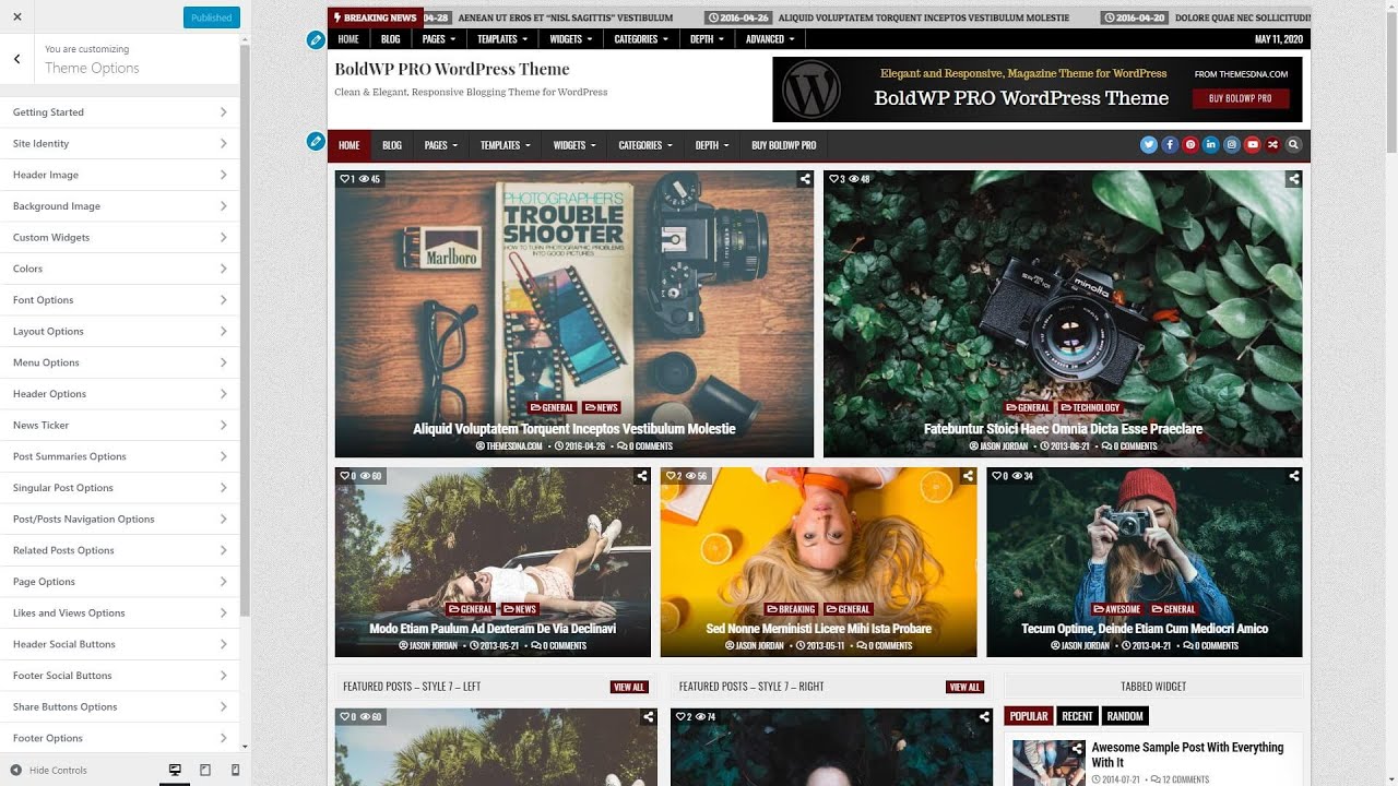 Customizer Theme Options - BoldWP PRO WordPress Theme - YouTube