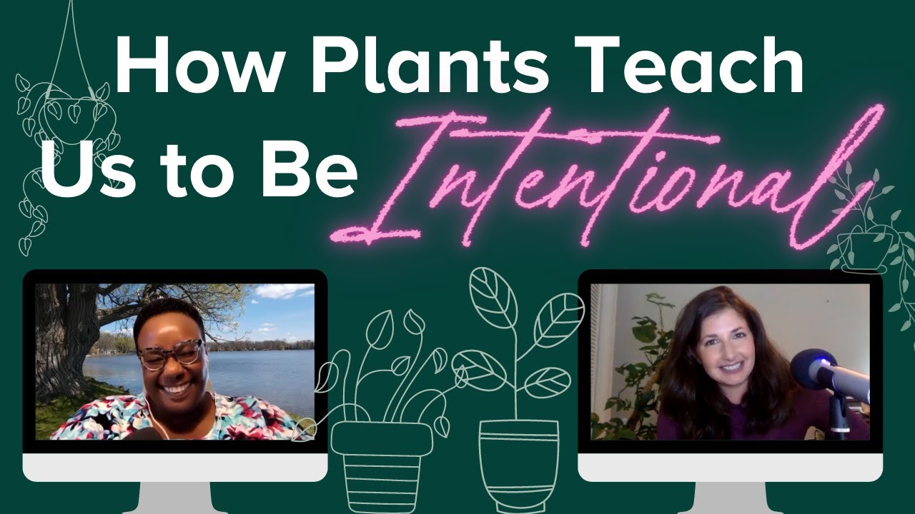 Lessons from Plants: How to Be Intentional and The Importance of Self ...