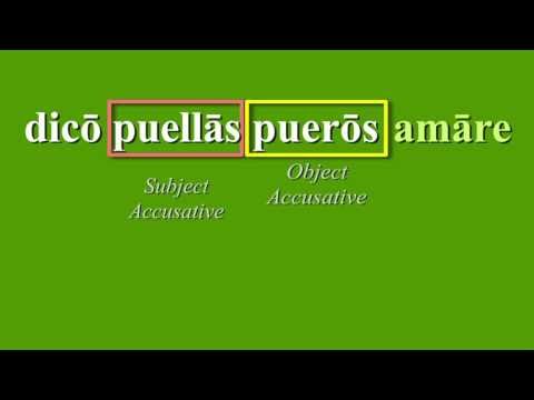 Complementary Infinitive Latin