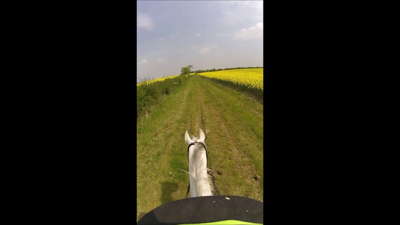 Pickle Jumping And Hacking 11 May 2017 - YouTube