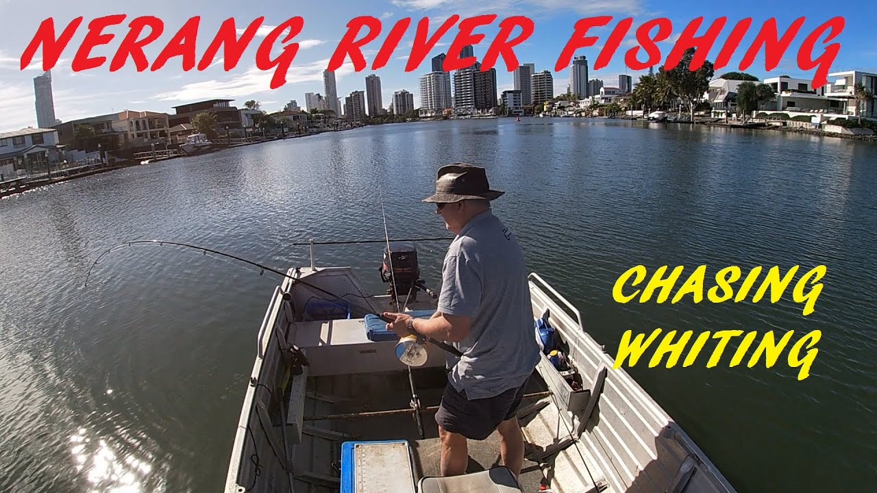 FISHING NERANG RIVER 24TH MAY 2024 - YouTube