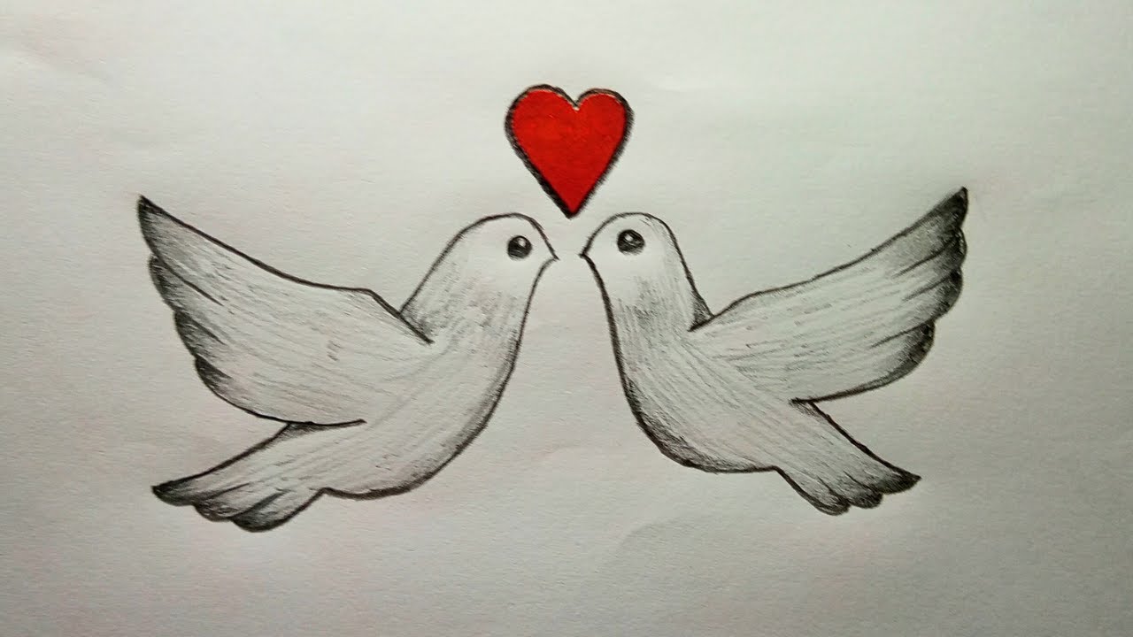 How to draw love birds with pencil for beginners | easy step by step ...
