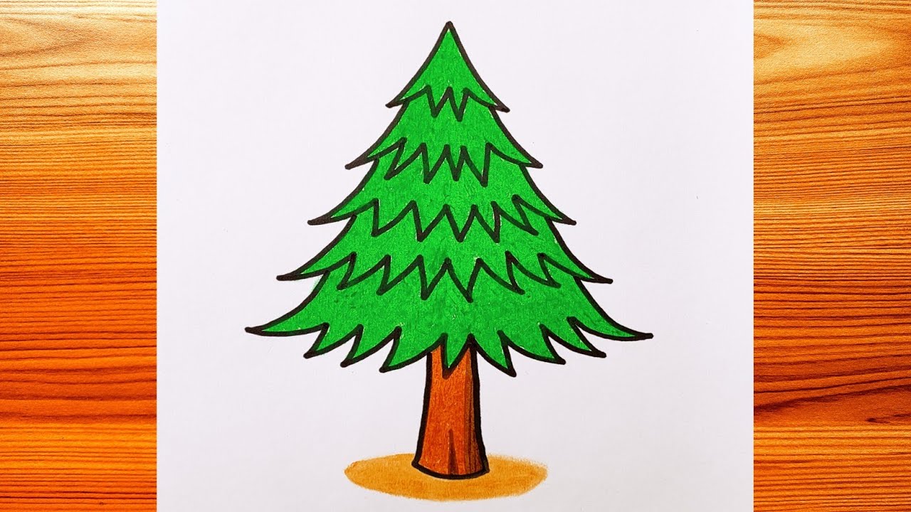 Simple Pine Tree drawing | Art of Kala - YouTube