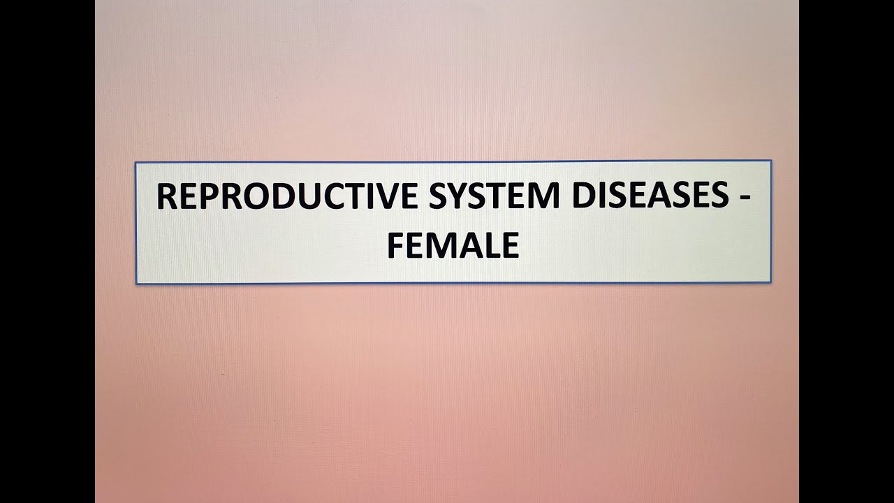 Female Reproductive System Diseases #reproductive system #disease - YouTube