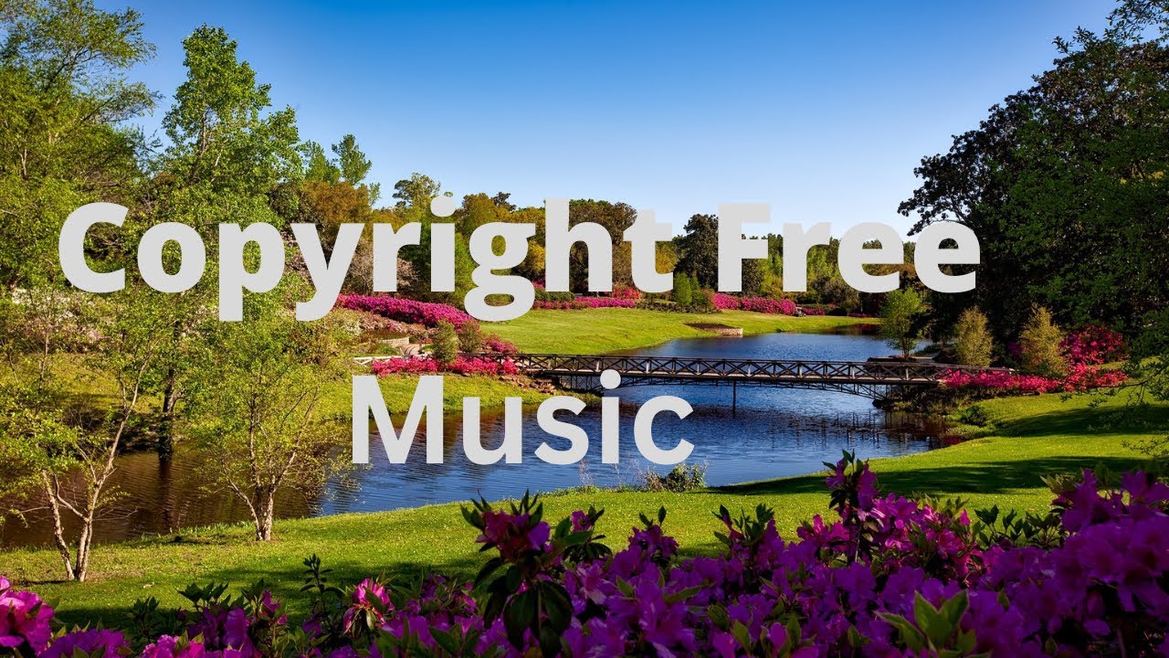 Jo Cohen & Sex Whales copyright free music/song/background - YouTube
