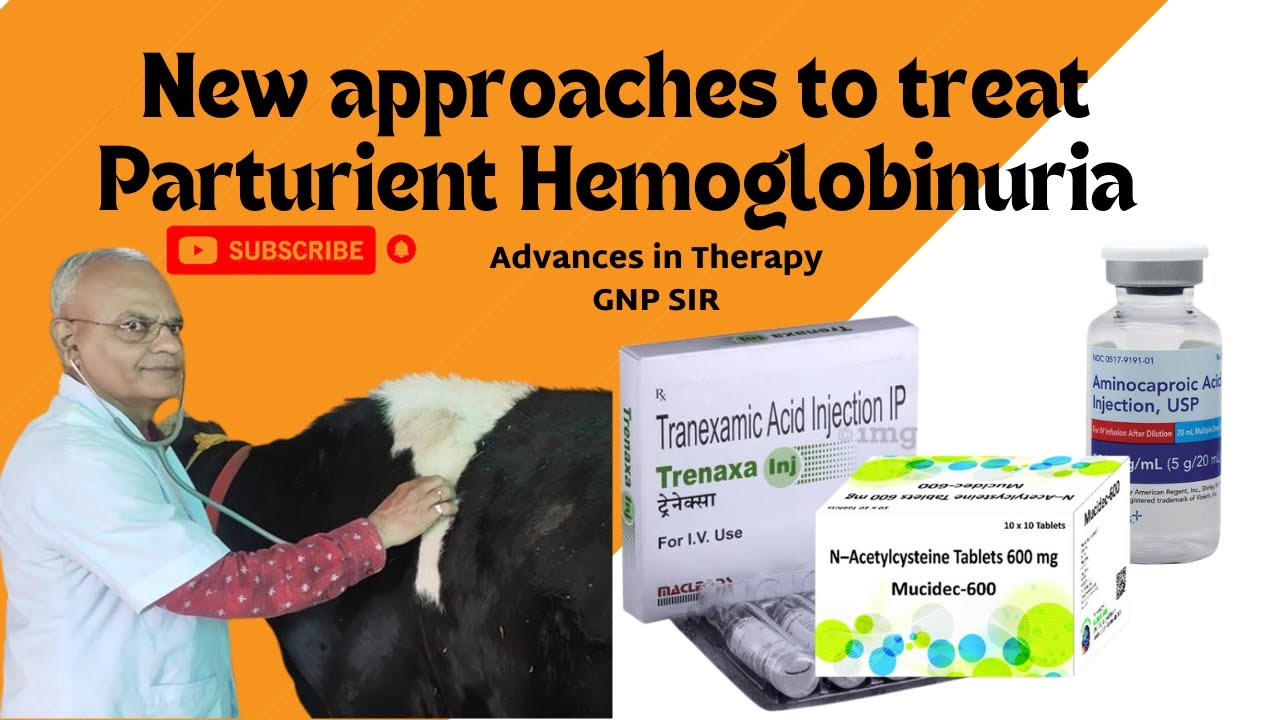 Hemoglobinuria In Adults