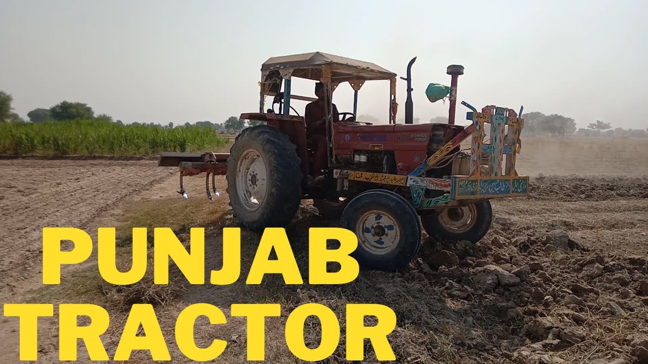 Wheat Cultivation in pakistan - tractor videos pakistan - tractor ...