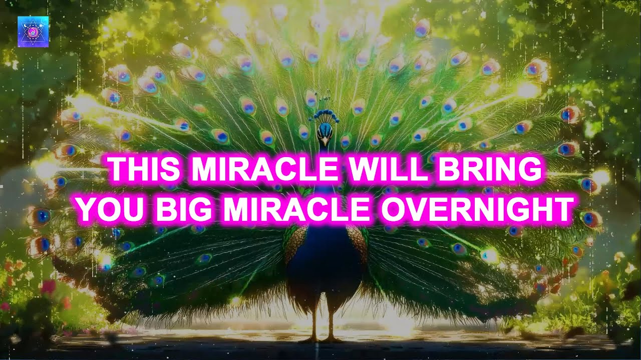 MIRACLES HAPPEN: This Miracle Will Bring You Big Miracle Overnight ...
